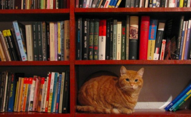 The Professional Library Tax Deduction For Video Businesses ...